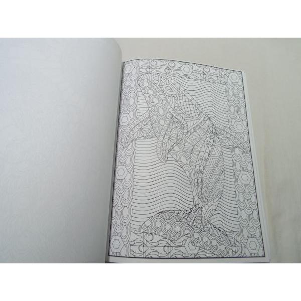 WHIMSICAL FRIENDS Coloring Book（訳アリ） Cra-Z-Art :BOKO1796ETC39399X46979 ...
