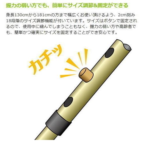 SINANO (株)シナノ あんしん2本杖 2本1組 / 650192 カラー：ブラウン 伸縮タイプ 安定歩行・姿勢改善 転倒予防杖 健康・リハビリ 2本杖定番モデル : 健康と介護のお店 ...