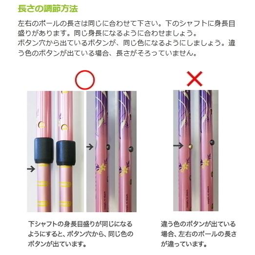 SINANO (株)シナノ あんしん2本杖 2本1組 / 650192 カラー：ブラウン 伸縮タイプ 安定歩行・姿勢改善 転倒予防杖 健康・リハビリ 2本杖定番モデル : 健康と介護のお店 ...