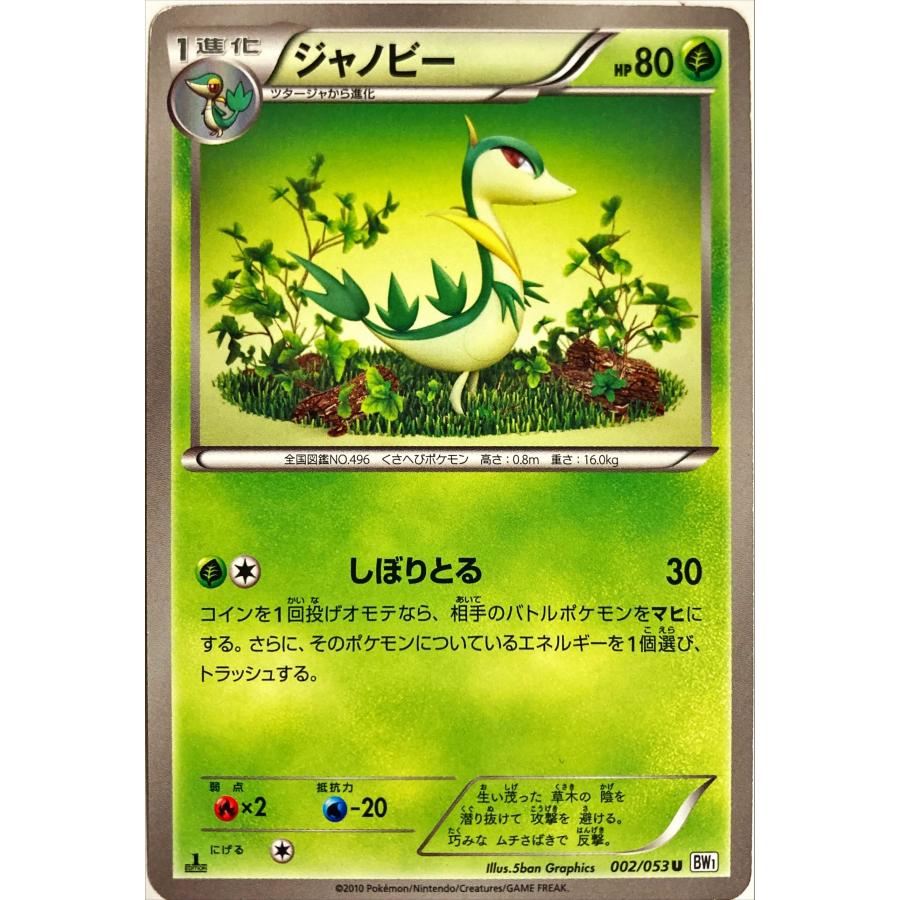 ポケモンカード ジャノビー 002/053 アンコモン : pkusa281 : フリーアイYK - 通販 - Yahoo!ショッピング