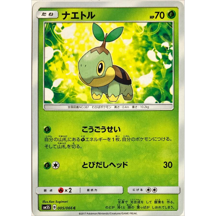 ポケモンカード ナエトル 005/066 コモン :pkusa432:フリーアイYK - 通販 - Yahoo!ショッピング