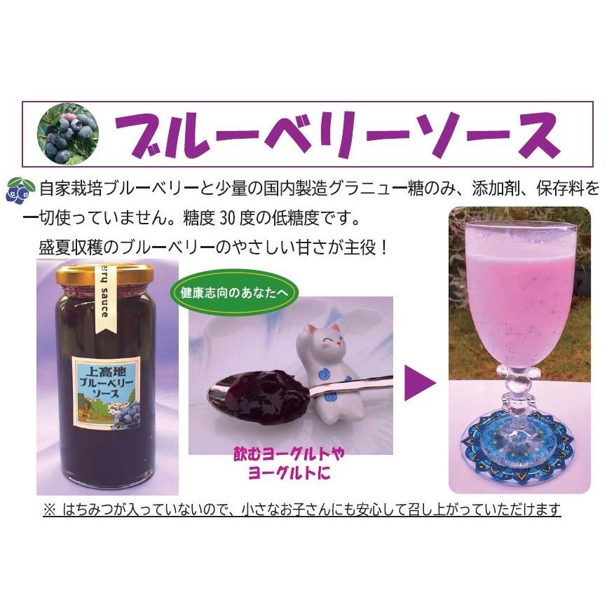 上高地ブルーベリーソース 165g プレミアムジャム 旬 ブルーベリー 上高地 長野 フルーツ ソース : 古河産業 Official EC-Shop - 通販 - Yahoo!ショッピング