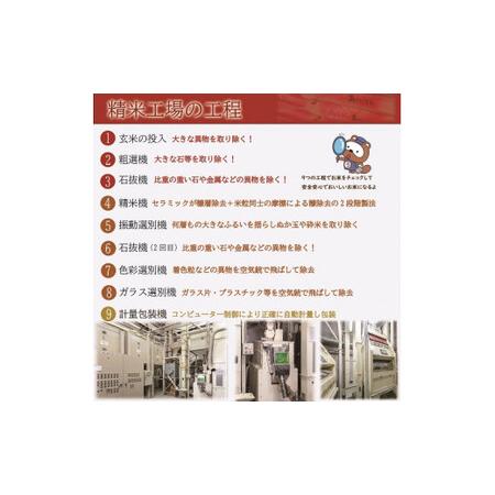 ふるさと納税 CC-108 お米 【無洗米】岡山県産あきたこまち100%（令和6年産）10kg 岡山県和気町 : 1004736 : ふるなび ...