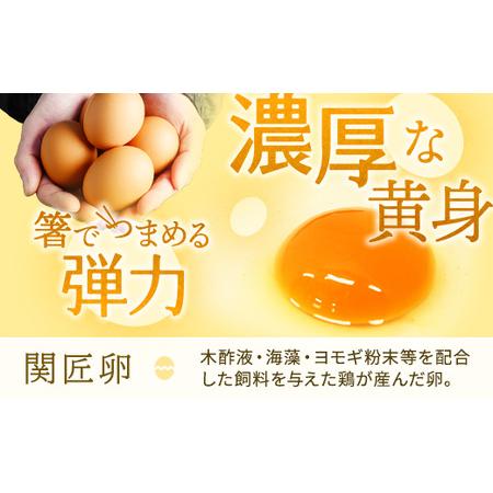 ふるさと納税 関匠卵 ひびき＋アローカナハーフセット（計20個）※北海道・沖縄・離島への配送不可 _CP06 茨城県古河市 : ふるなび(ふるさと納税) - 通販 - Yahoo!ショッピング