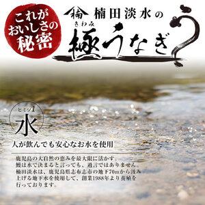 ふるさと納税 極うなぎ蒲焼き2尾(計220g以上)と真空包装米なつほのか(計600g・2合相当×2P) うなぎ 鰻 ウナギ 2尾 国産 鹿児島県産 蒲焼.. 鹿児島県志布志市 ...