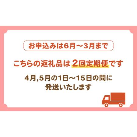 ふるさと納税 【2回定期便】南島原産 いちご 「恋みのり」約260g×4P / イチゴ 苺 フルーツ 果物 / 南島原市 / あゆみfarm[SFF002] 長崎県南島原市 :1022286 ...