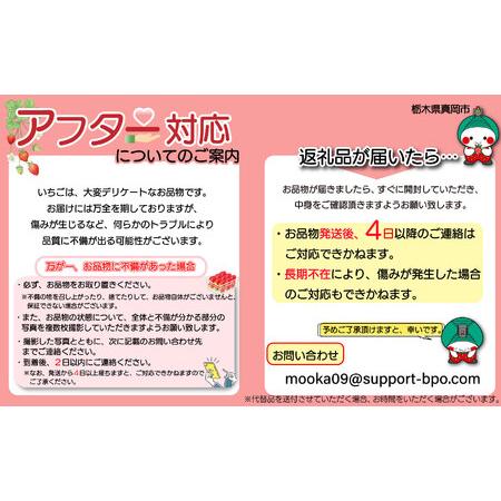 ふるさと納税 【2026年先行予約】甘く熟した完熟いちご！朝採れとちあいか たっぷり2,000g 真岡市 栃木県 送料無料 栃木県真岡市 ...