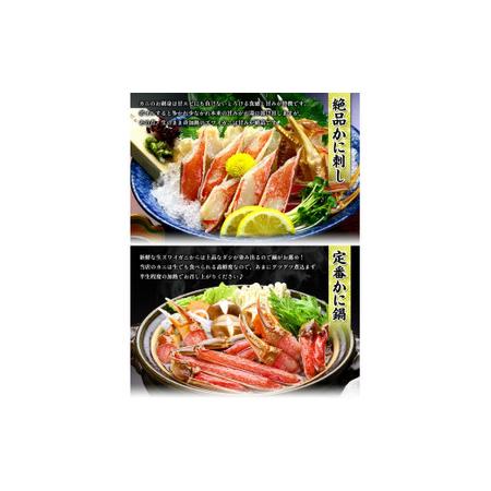 ふるさと納税 [順次発送]【お刺身OK】カット生ずわい蟹500g（総重量約700g）× 1箱【甲羅組 蟹 カニ 魚介類 魚貝類】[024-a027] 福井県敦賀市 : 1101259 : ふる ...