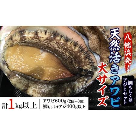 ふるさと納税 八幡浜発!竹中水産の「アワビ三昧大サイズ」600g(鯛もしくはアジとセット) 【H22-212】【配送不可地域：離島・北海道 ...
