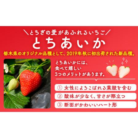 ふるさと納税 いちご（とちあいか） 290g×2パック 580g以上 ｜ ※2025年11月下旬〜2026年3月下旬頃に順次発送予定 栃木県さくら市 : ふるなび(ふるさと納税) - 通販 ...