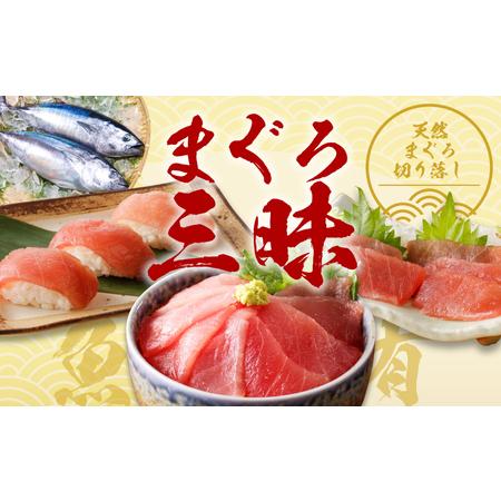 ふるさと納税 泉佐野セレクト 海鮮定期便 全4回 サーモン 天然まぐろ かつお 真鯛【毎月配送コース】 大阪府泉佐野市 : 1145866 ...