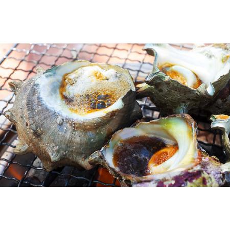 ふるさと納税 大人気☆ 若狭湾の素潜り 天然 サザエ 約8〜12個 約700g (350g × 2P) 活サザエをそのままボイルしました！【サザエ さざえ 貝.. 福井県美浜町 : ふるなび ...