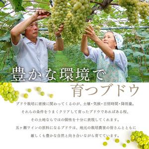 ふるさと納税 五ヶ瀬ワイン ナイアガラ（白・甘口） 宮崎県五ヶ瀬町 :1189953:ふるなび(ふるさと納税) - 通販 - Yahoo!ショッピング