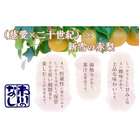 ふるさと納税 市川の梨 王秋3キロ(4〜6個入り） 【12203-0201】 千葉県市川市 : ふるなび(ふるさと納税) - 通販 - Yahoo!ショッピング