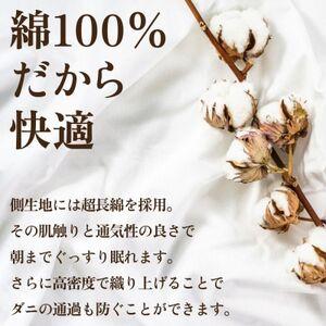 ふるさと納税 【抗菌・抗ウイルス加工】肌掛け羽毛布団(セミダブル)綿100% 日本製 春夏OK【甲州羽毛ふとん】【1502632】 山梨県山梨 ...