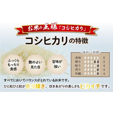 ふるさと納税 【先行予約】【令和6年産 新米】【3ヶ月定期便】福井県大野市産 JGAP認証 コシヒカリ「あかね」（白米）5kg×2袋＝10kg×3.. 福井県大野市 : ふるなび(ふるさと納税 ...