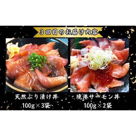 ふるさと納税 TY01：【3回定期便】山芳亭 人気海鮮漬け丼の素シリーズ 鳥取県日吉津村 : ふるなび(ふるさと納税) - 通販 - Yahoo!ショッピング