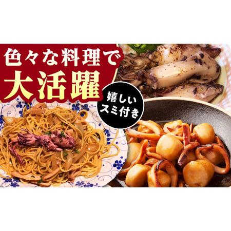 ふるさと納税 訳あり 剣先イカ 1.8kg(3パック) [WAC051] いかいかいかいかいかいかいかいかいか 長崎県対馬市 : ふるなび(ふるさと納税) - 通販 - Yahoo!ショッピング