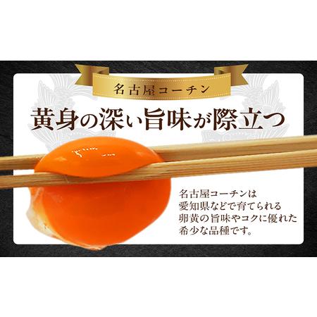 ふるさと納税 【高級】名古屋コーチン 4パック（計24個）【JGAP認証】飼料にこだわった 採れたて卵 新鮮 希少 たまご 安心 安全 農家直送 たまご.. 愛知県常滑市 : ふるなび ...