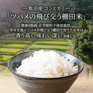 ふるさと納税 【令和7年産 新米先行受付】ツバメの飛び交う棚田米 精米6kg（3kg×2袋） 米 こめ お米 コメ こしひかり コシヒカリ 精米 新.. 新潟県魚沼市 : ふるなび(ふるさと ...