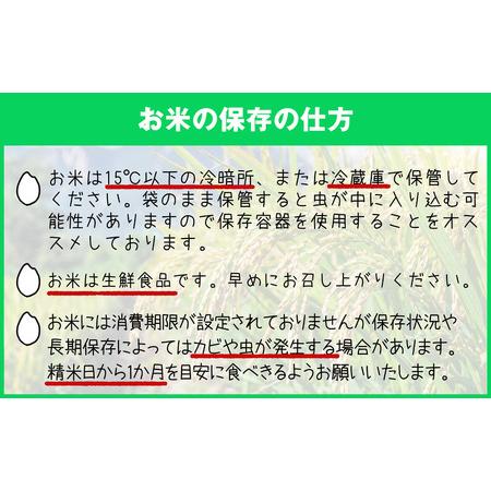 ふるさと納税 【2025年3月発送】 先行予約 福岡県産 米「 元気つくし 」 20kg NP006-[6] 福岡県須恵町 : 1318062 : ふるなび(ふるさと納税) - 通販 ...
