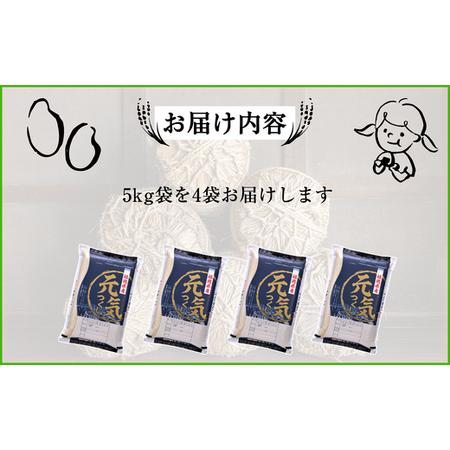 ふるさと納税 【2025年3月発送】 先行予約 福岡県産 米「 元気つくし 」 20kg NP006-[6] 福岡県須恵町 : 1318062 : ふるなび(ふるさと納税) - 通販 ...
