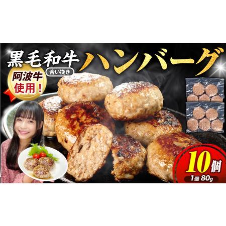 ふるさと納税 ハンバーグ 10個 国産 徳島県小松島市 : ふるなび(ふるさと納税) - 通販 - Yahoo!ショッピング