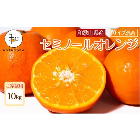 ふるさと納税 家庭用 森本農園の手選別 セミノールオレンジ 10kg 和歌山県産 サイズ混合 [北海道・沖縄・離島配送不可][RN37 ...