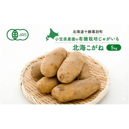 ふるさと納税 小笠原農園の有機じゃがいも「メークイン」5kg【北海道十勝幕別】《2025年秋出荷先行予約》【 野菜 芋 じゃがいも メークイン ...