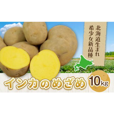 ふるさと納税 インカのめざめ 10kg じゃがいも 飯山農場《30日以内に出荷予定(土日祝除く)》芋 ジャガイモ 野菜 送料無料 北海道 浦幌 ...