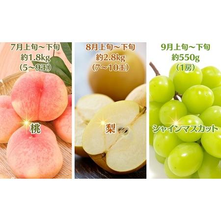 ふるさと納税 観音寺市 旬果フルーツ定期便 全6回 桃 梨 シャインマスカット いちご みかん しらぬひ 香川 香川県観音寺市 ...