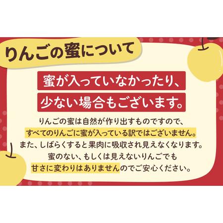 ふるさと納税 贈り物にもおすすめ！サンフジ 秀品 約3kg（8〜12玉前後） 秋田県横手市 : 1347073 : ふるなび(ふるさと納税) - 通販 - Yahoo!ショッピング