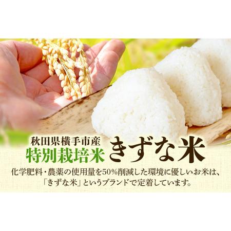 ふるさと納税 【無洗米】令和6年産 秋田県産 あきたこまち 10kg(2kg×5袋) 【JGAP認証】【秋田県特別栽培農産物認証】 秋田県横手市 : ふるなび(ふるさと納税) - 通販 ...