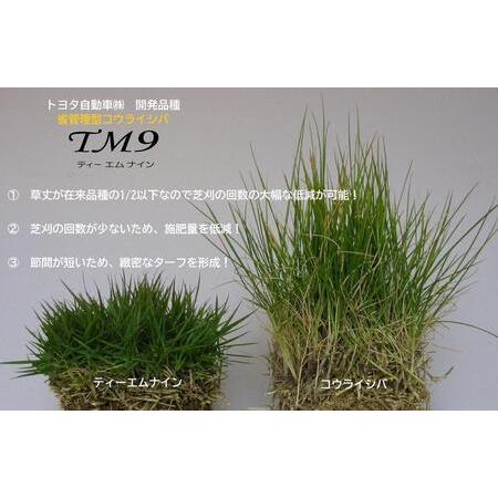 ふるさと納税 芝生(省管理型コウライ芝 TM9ティーエムナイン)6束セット※6平米分 鳥取県琴浦町 : ふるなび(ふるさと納税) - 通販 - Yahoo!ショッピング