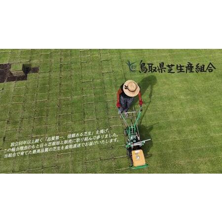ふるさと納税 芝生(省管理型コウライ芝 TM9ティーエムナイン)6束セット※6平米分 鳥取県琴浦町 : ふるなび(ふるさと納税) - 通販 ...