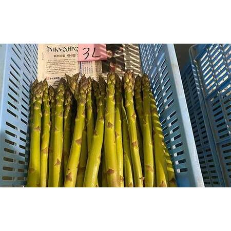 ふるさと納税 【令和7年産先行予約】 アスパラガス (春芽) 約1kg (3Lサイズ 約20〜25本前後) 《令和7年5月〜発送》 『生産者 紺野 幸陽』 グリ.. 山形県南陽市 : ふるなび ...