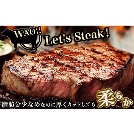 ふるさと納税 宮崎牛ヒレブロック500g_22-8905_(都城市) 宮崎県産 宮崎牛 真空パック ヒレブロック 高級部位 枝肉の3％ 希少な部位 やわらか 脂.. 宮崎県都城市 : ふるなび ...