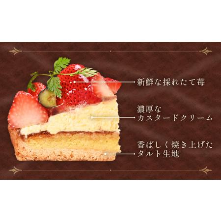 ふるさと納税 【先行予約】【数量限定】サクサク食感 フレッシュ苺タルトケーキ 5号 直径15cm 【2025年1月上旬以降順次発送予定 ...