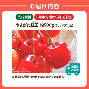 ふるさと納税 《先行受付》さくらんぼ 山形紅王（やまがたべにおう）約500g (2Lサイズ以上) 【2025年6月中旬〜順次発送予定】 022-012 山形県大江町 : ふるなび(ふるさと納税 ...