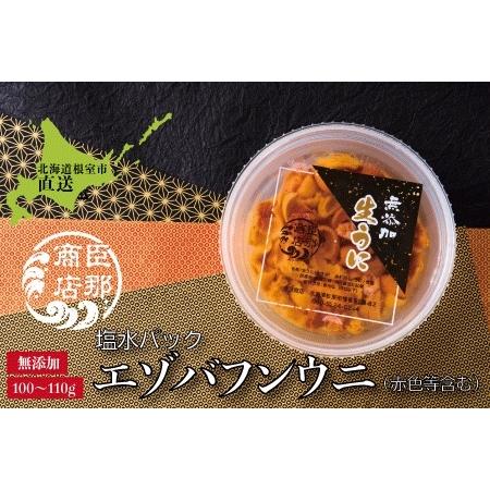 ふるさと納税 【年内配送可】エゾバフンウニ(赤色等含む)塩水パック100〜110g×1パック A-22001 北海道根室市 : ふるなび(ふるさと納税) - 通販 - Yahoo!ショッピング