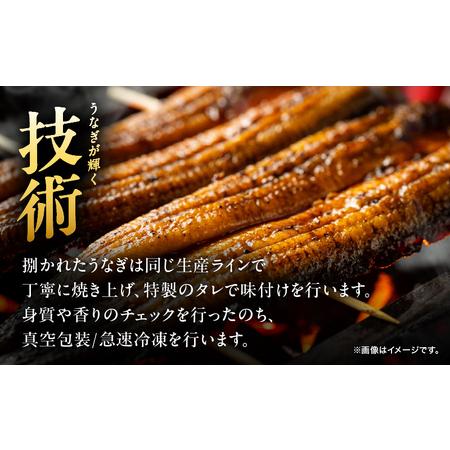 ふるさと納税 【期間限定】 鹿児島県 大隅産 うなぎ 蒲焼 4尾（400g） KN007-023 国産 本格 鰻 ウナギ 冷凍 惣菜 総菜 湯煎 レンジ 解凍 簡単.. 鹿児島県鹿屋市 ...