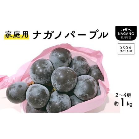 ふるさと納税 TK18-25A ぶどう ナガノパープル家庭用 500g以上 ／2025年9月上旬〜9月中旬配送予定 // 長野県 南信州 松川町産 種なし 皮ごと 南.. 長野県松川町 ...