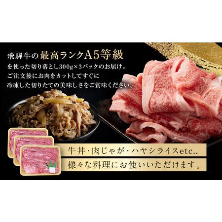 ふるさと納税 【3月発送】飛騨牛 A5等級 切り落とし 900g（300g×3パック） | 小間切れ A5ランク A5 5等級 肉 黒毛和牛 ブランド牛 発送時期.. 岐阜県高山市 : ふる ...