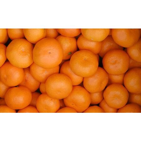 ふるさと納税 [先行予約][訳あり]蔵出しみかん（晩生みかん）2S?3Sサイズ混合 2kg＋200g（傷み補償分）[2026年1月上旬より発送] 和歌山県海南市 : ふるなび(ふるさと納税 ...