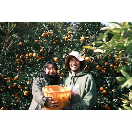 ふるさと納税 [先行予約][訳あり]蔵出しみかん（晩生みかん）2S?3Sサイズ混合 2kg＋200g（傷み補償分）[2026年1月上旬より発送] 和歌山県海南市 : ふるなび(ふるさと納税 ...