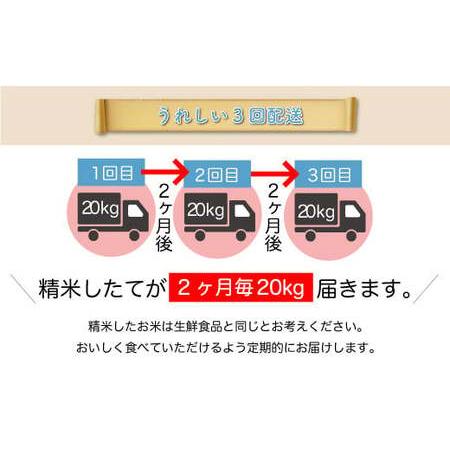 ふるさと納税 ＜令和7年産米＞ 令和8年4月上旬より発送 雪若丸【無洗米】60kg定期便(20kg×3回) 山形県真室川町 RR7Y6020M ...