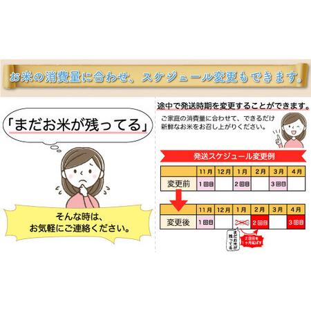 ふるさと納税 ＜令和7年産米＞ 令和8年4月上旬より発送 雪若丸【無洗米】60kg定期便(20kg×3回) 山形県真室川町 RR7Y6020M ...