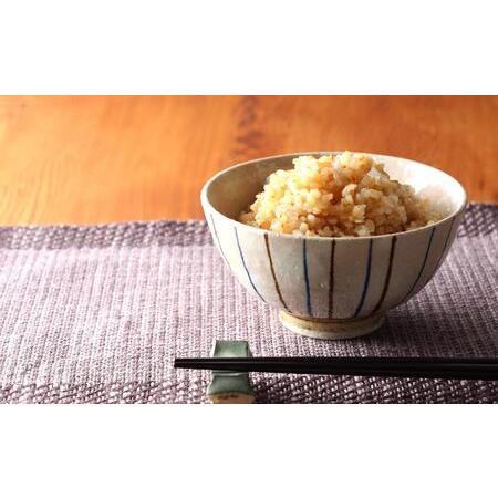 ふるさと納税 玄米 さがびより 10kg (5kg×2袋) 五つ星お米マイスター厳選！ 米 お米 ※配送不可：離島 佐賀県鳥栖市 : ふるなび ...