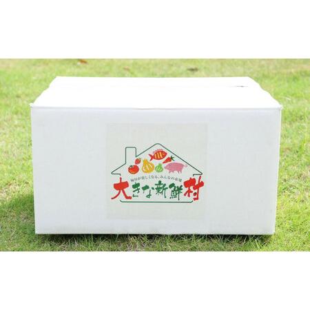 ふるさと納税 【全12回定期便】採れたてお野菜おまかせセット（8?10種）/ 野菜 やさい 野菜セット 野菜詰め合わせ 詰め合わせ セット ...