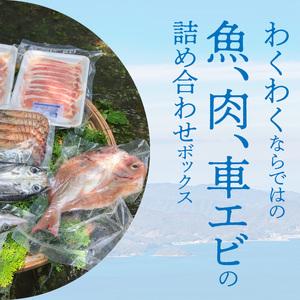 ふるさと納税 S059-011A_天草わくわくボックススタンダード / 干物 豚肉 車エビ 海老 えび 刺身 刺し身 熊本県天草市 : ふるなび(ふるさと納税) - 通販 - Yahoo!ショッピング